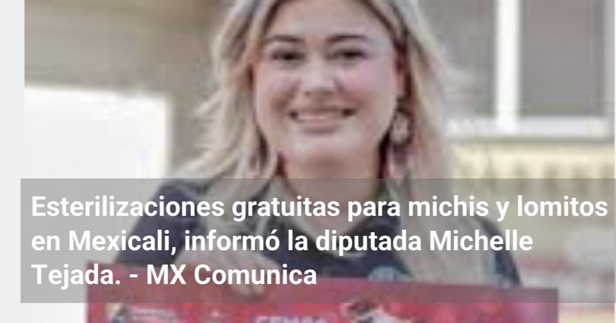 Esterilizaciones gratuitas para michis y lomitos en Mexicali, informó ...